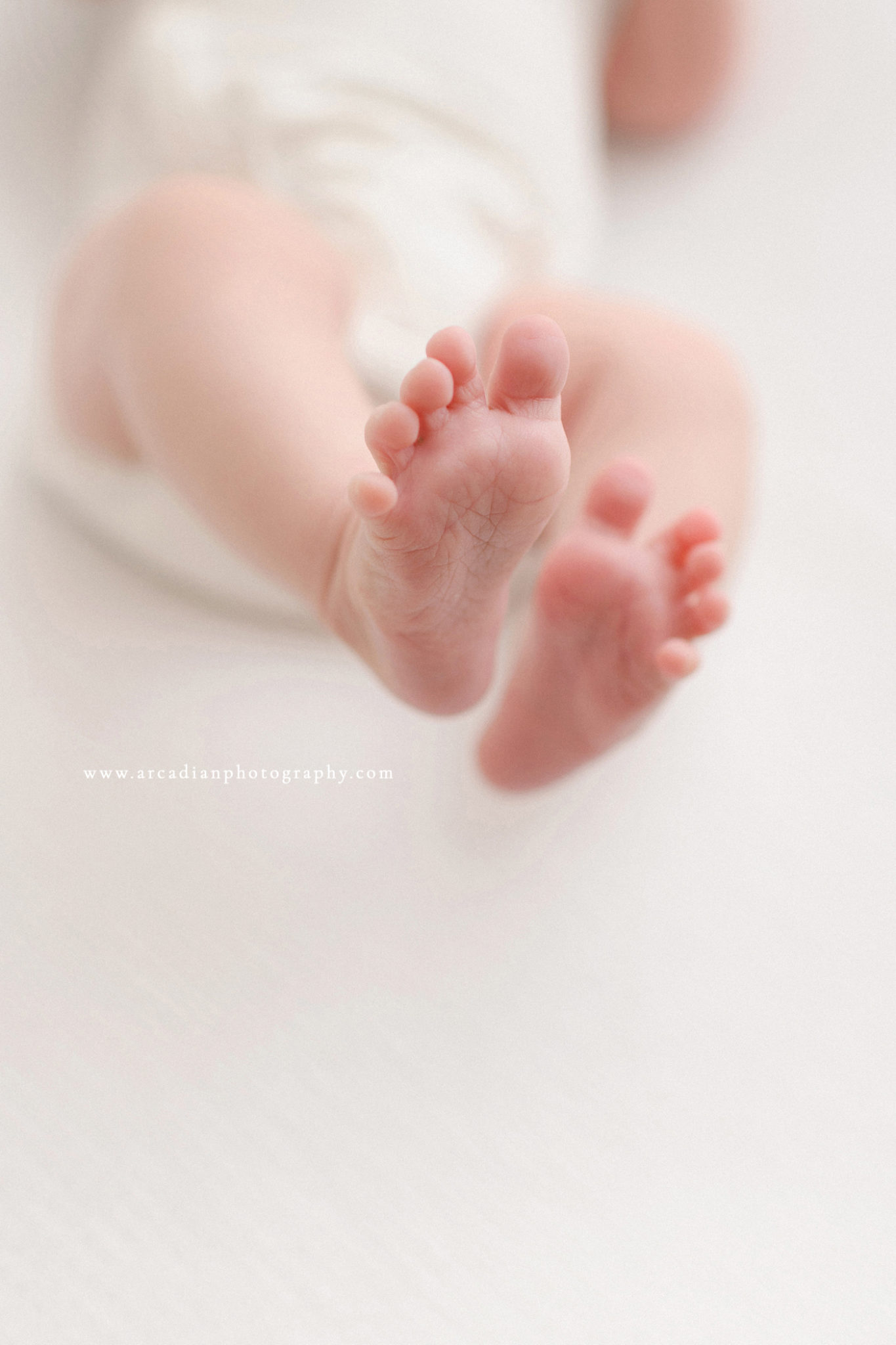 Baby's First Photos: DIY or Hire a Professional? | Arcadian Photography